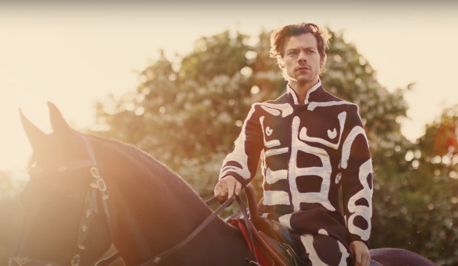 Harry Styles Releases Music Video for "Daylight" and It's a Circus ...